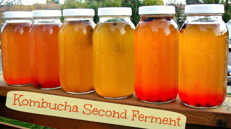 Is Kombucha Good for You and Why?